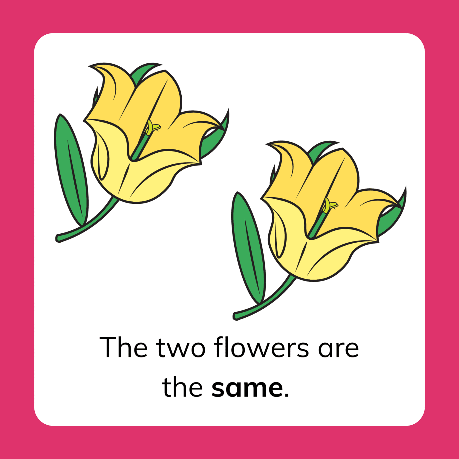 Same and Different Kindergarten Lesson - Animated Ideas