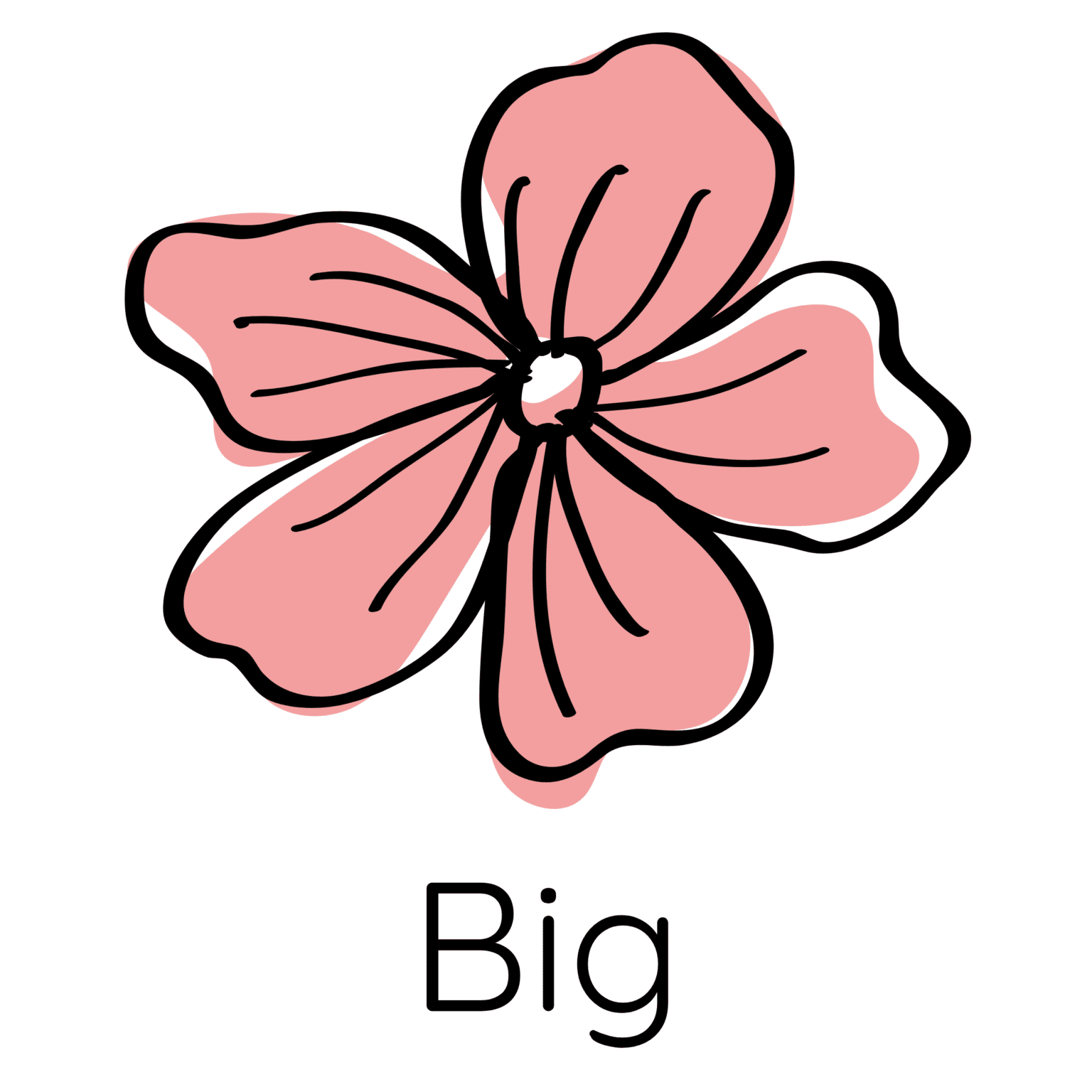Sorting Objects by Size - Animated Ideas